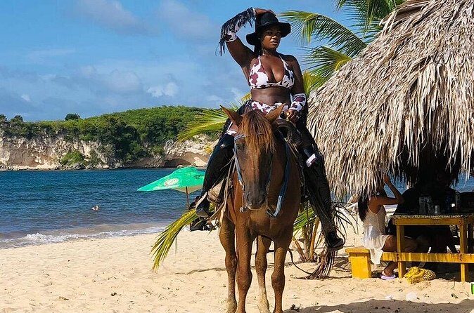 Horseback Riding on the Stunning Beaches of Punta Cana - Who Will Love This Tour?