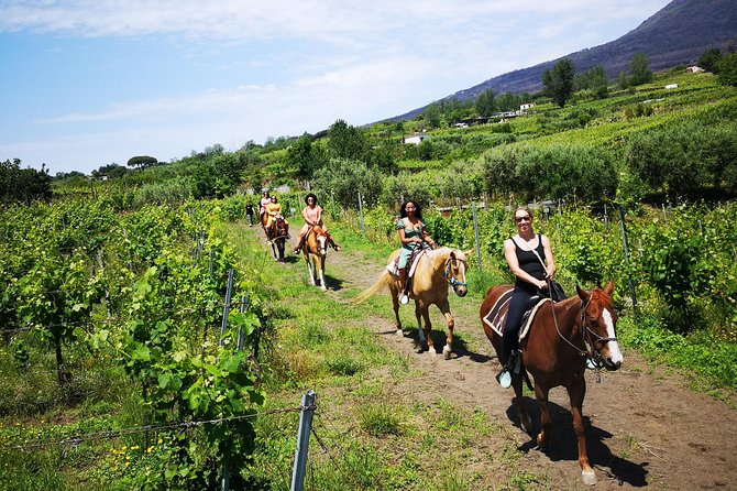 Horseback Riding on Vesuvius - Meeting and Pickup Details