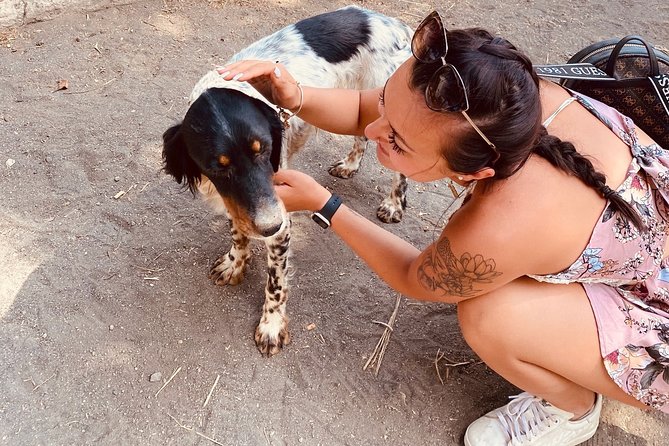 Horseback Riding on Vesuvius - Reviews and Traveler Feedback