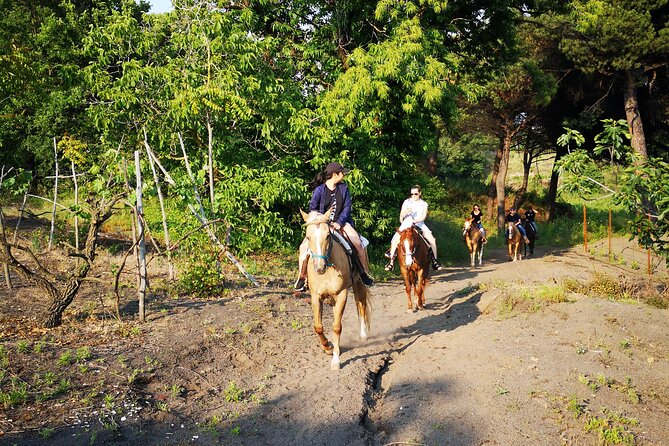 Horseback Riding on Vesuvius - Exploring Vesuvius National Park