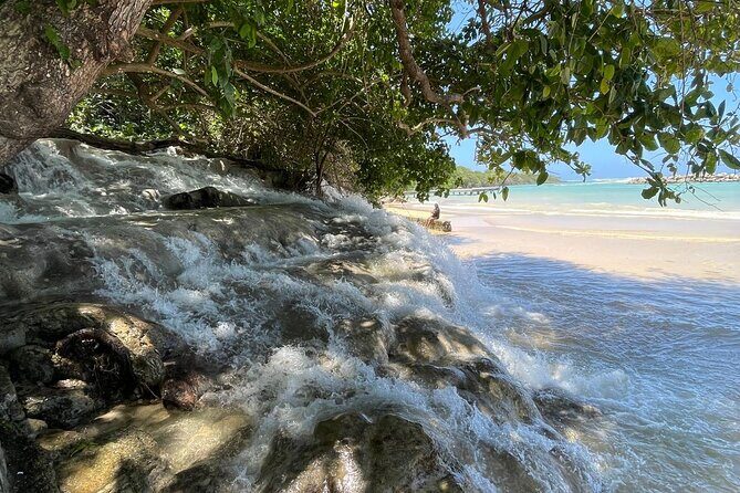Horseback Riding/Swimming and Dunn's River from Ocho Rios - The Sum Up