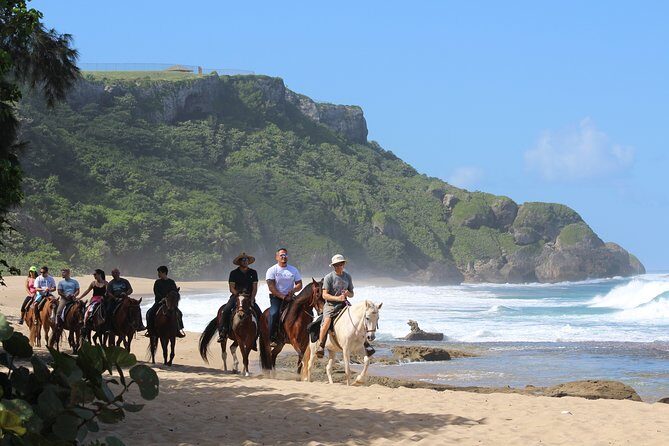 Horseback Riding through Secluded Beaches and Tropical Forests - What Travelers Say About This Tour
