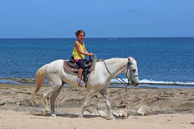 Horseback Riding through Secluded Beaches and Tropical Forests - The Sum Up