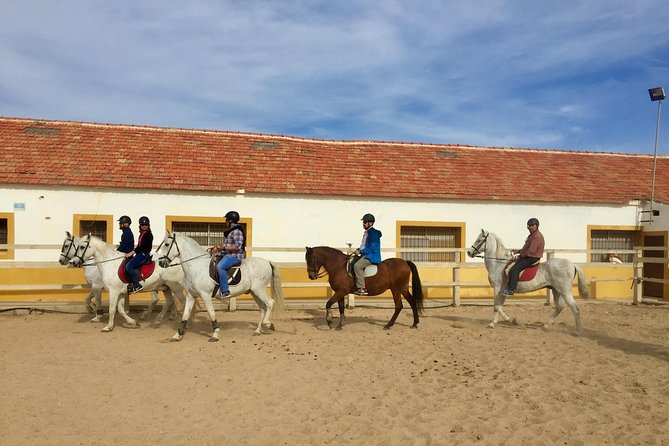 Horseback riding through the Calblanque Natural Park - Horseback Riding Through the Calblanque Natural Park: A Complete Guide