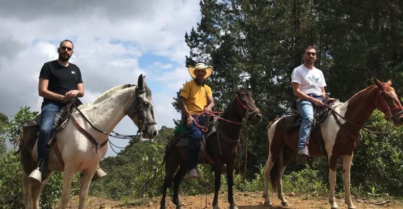 Horseback riding through the mountains of Medellín - What to Expect During the Ride