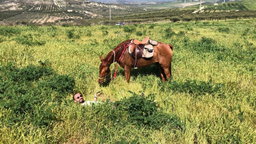 Horseback riding through the olive groves of Sciacca - Key Points