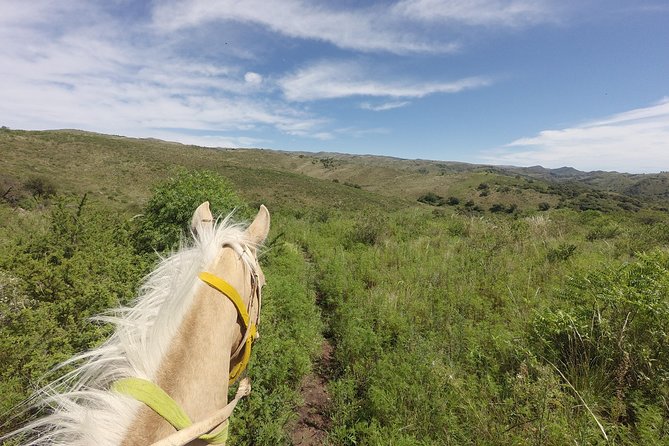 Horseback Riding Through the Sierras - Exceptional Tour Experience