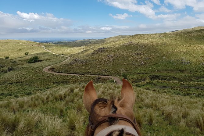Horseback Riding Through the Sierras - Exceptional Ratings and Reviews