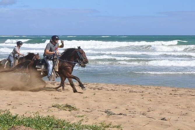 Horseback Riding to Maimon River from Punta Cana - What to Expect from Your Horseback Ride Adventure