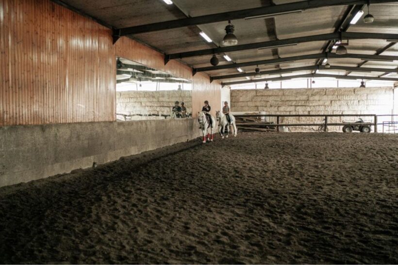 Horseback Riding Tour - An In-Depth Look at the Horseback Riding Experience