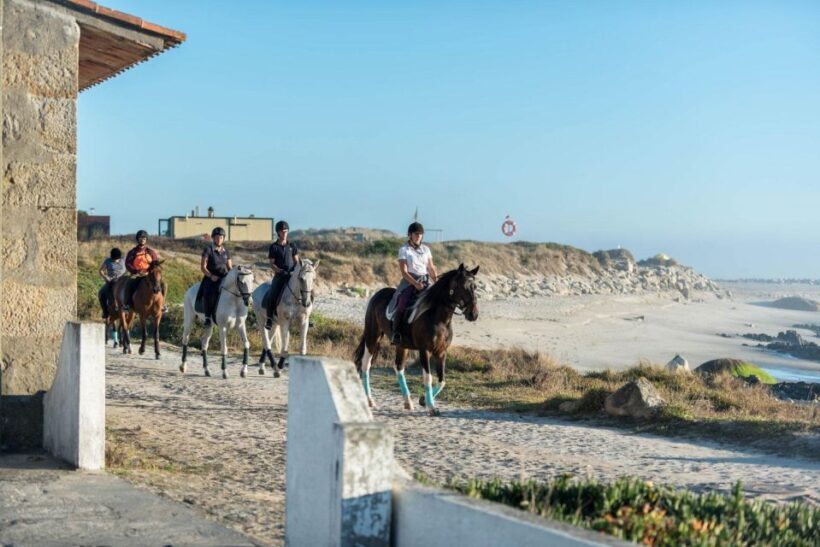 Horseback Riding Tour - Final Thoughts: Is This Horseback Tour Worth It?