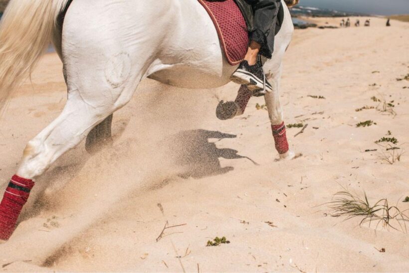 Horseback Riding Tour - FAQ