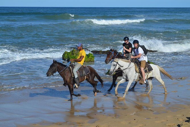 Horseback Riding Tour Adventure on the Beach - An In-Depth Look at the Horseback Riding Experience
