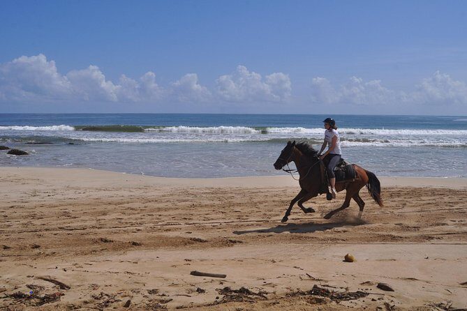 Horseback Riding Tour Adventure on the Beach - The Sum Up
