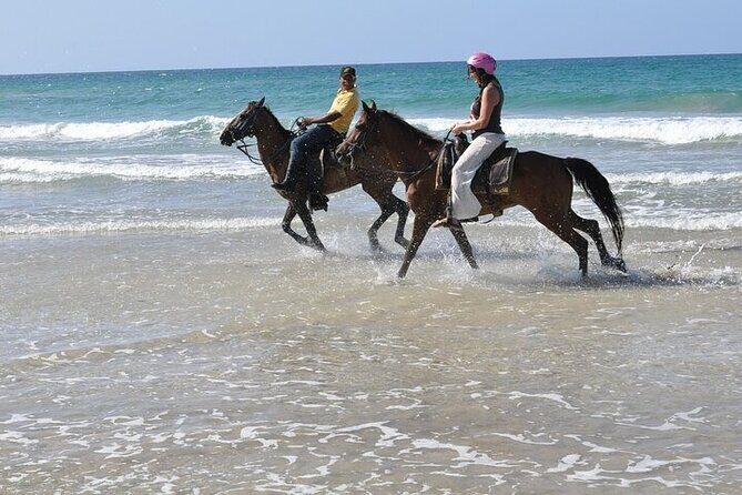 Horseback Riding Tour along the Beaches of Punta Cana - Exploring the Horseback Riding Tour along the Beaches of Punta Cana
