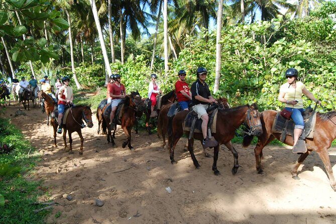 Horseback Riding Tour along the Beaches of Punta Cana - Key Points