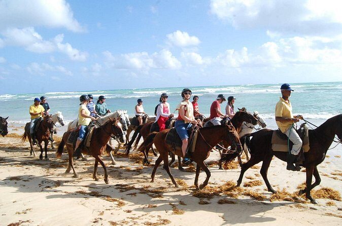 Horseback Riding Tour along the Beaches of Punta Cana - The Sum Up
