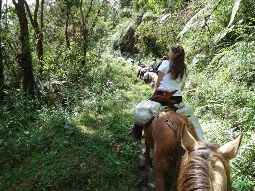 Horseback Riding Tour and visit to Tablón, Chaquira, Pelota - Authentic Experience & Genuine Highlights