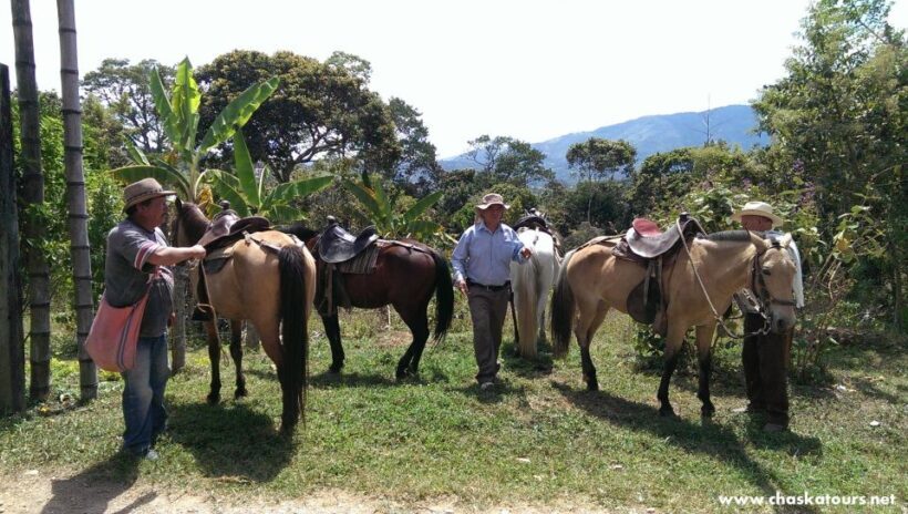 Horseback Riding Tour and visit to Tablón, Chaquira, Pelota - Who Should Consider This Tour?