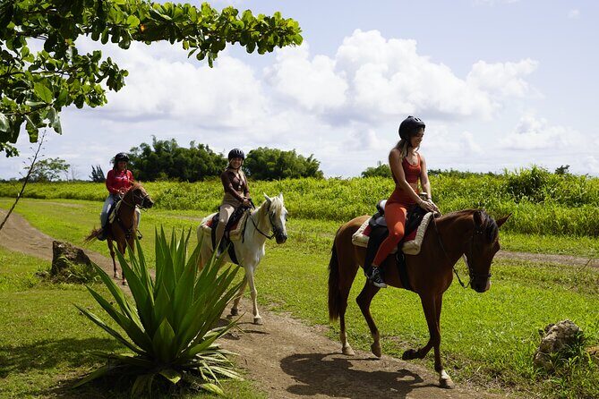 Horseback Riding Tour at Private Ranch - An In-Depth Look at the Horseback Riding Tour at a Private Ranch in Puerto Rico