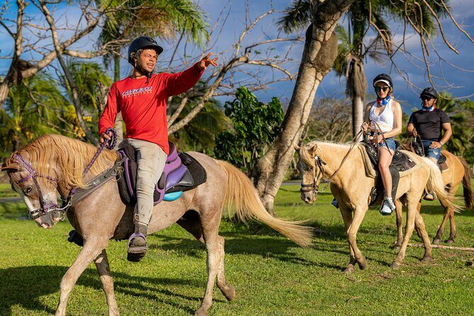Horseback Riding Tour at Private Ranch - Key Points