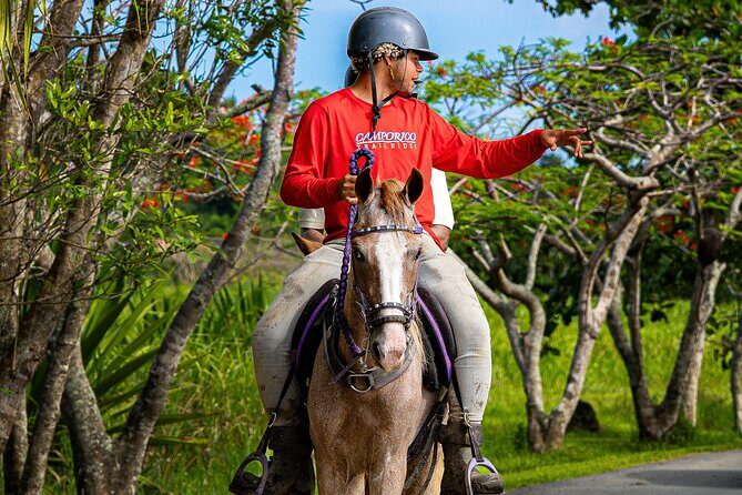 Horseback Riding Tour at Private Ranch - Price and Value Analysis