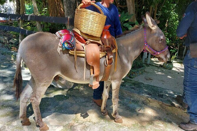 Horseback Riding Tour at Rancho Bonanza and Cenote Swim - Additional Details and Logistics