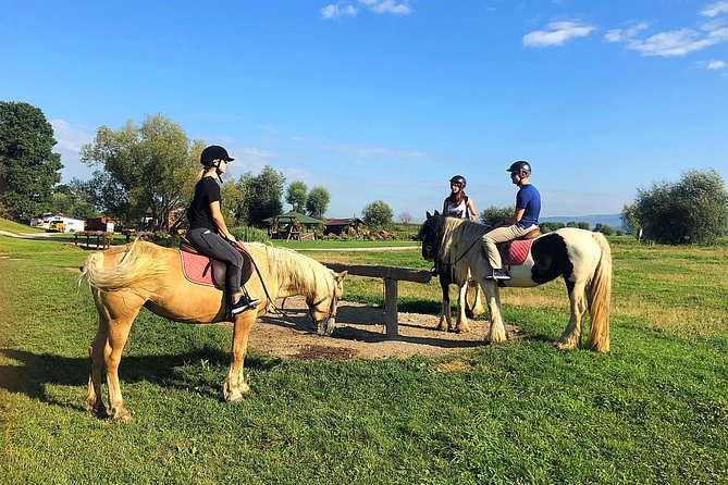 Horseback Riding Tour In Brasov - Ride Through Fields, Forests & Hills - About Your Stay
