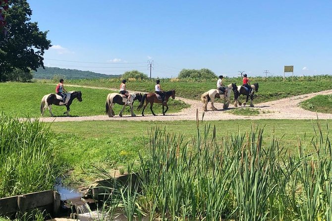 Horseback Riding Tour In Brasov - Ride Through Fields, Forests & Hills - Exploring the Transylvanian Landscape: A Detailed Itinerary