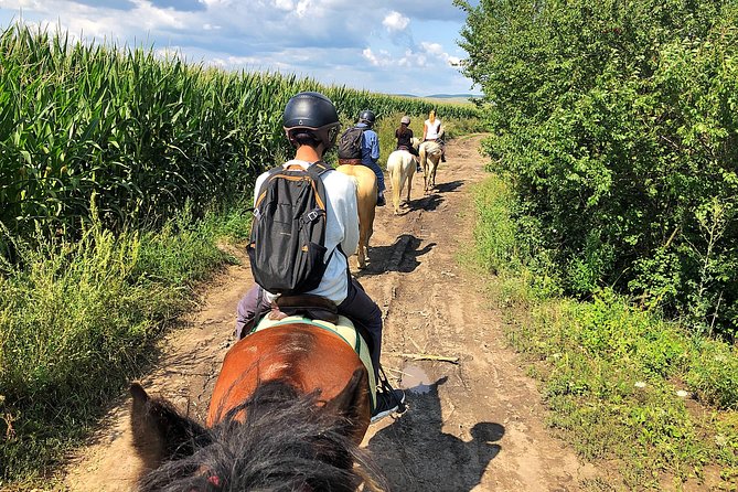 Horseback Riding Tour In Brasov - Ride Through Fields, Forests & Hills - Preparing for Your Tour: Tips and Recommendations