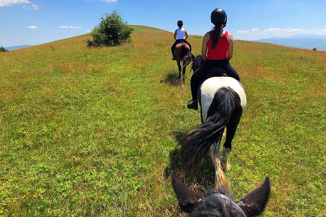 Horseback Riding Tour In Brasov - Ride Through Fields, Forests & Hills - Insights From Travelers: Reviews and Testimonials