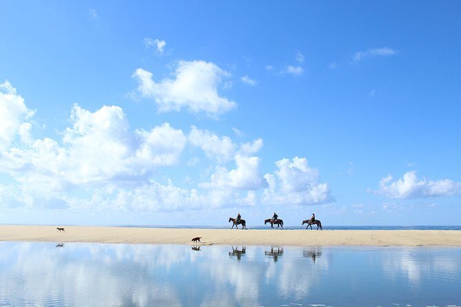 Horseback Riding Tour in Cabo San Lucas - What Makes It Special: The Landscape and Guides