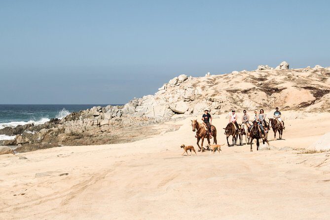 Horseback Riding Tour in Cabo San Lucas - The Cost and Value