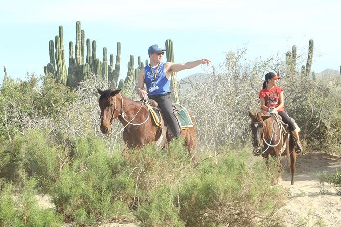Horseback Riding Tour in Cabo San Lucas - Who Will Love This Tour?