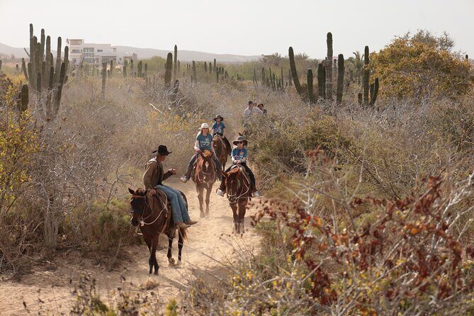 Horseback Riding Tour in Cabo San Lucas - Pros and Cons Summary