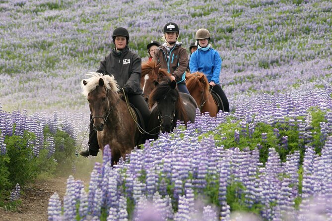 Horseback Riding Tour in Iceland - Accessibility and Safety Considerations