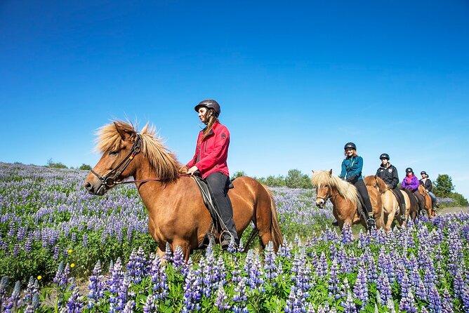Horseback Riding Tour in Iceland - Pricing and Cancellation Policy