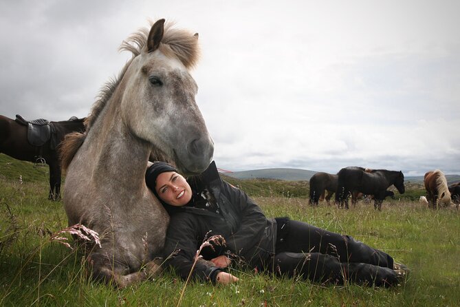 Horseback Riding Tour in Iceland - Customer Reviews and Highlights