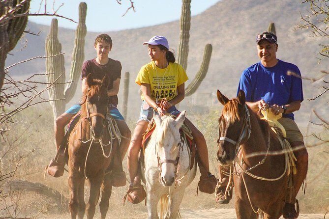 Horseback Riding Tour in Los Cabos - Introduction