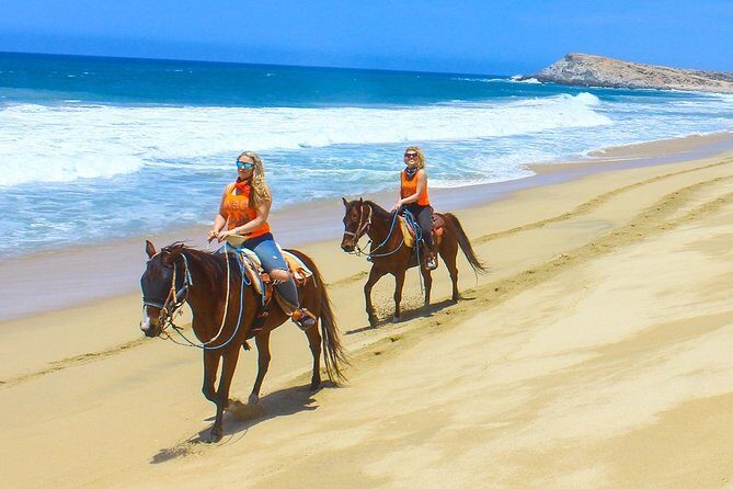 Horseback Riding Tour in Los Cabos - What Tour Reviews Reveal
