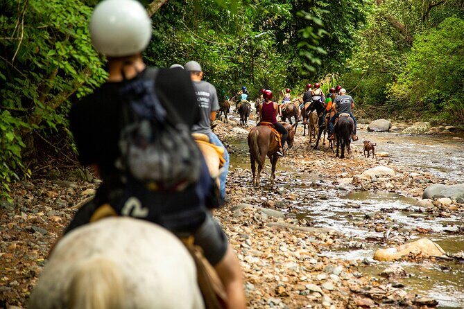 Horseback Riding Tour in Sierra Madre from Puerto Vallarta - The Experience as Rated and Reviewed