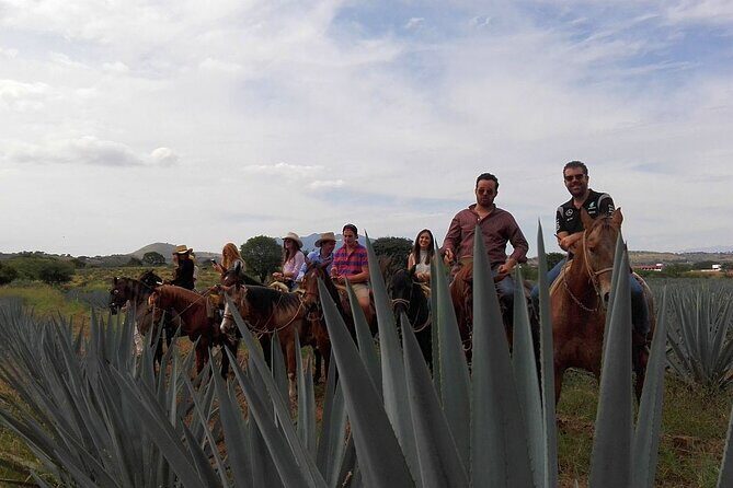 Horseback Riding Tour in The Agave Field with Lunch - Breakdown of the Itinerary