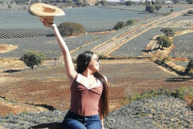 Horseback Riding Tour in The Agave Field with Lunch - The Sum Up
