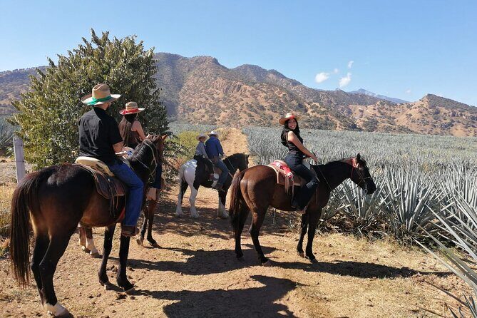 Horseback Riding Tour in The Agave Field with Lunch - Frequently Asked Questions