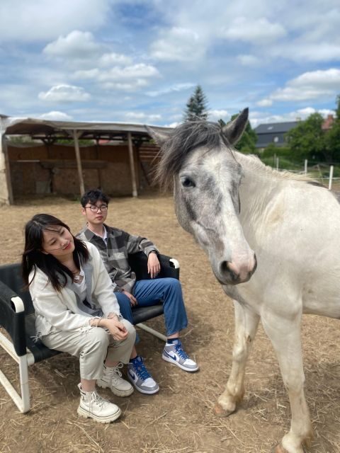 Horseback riding tour near Prague - An Overview of the Experience