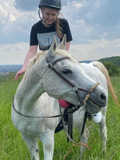 Horseback riding tour near Prague - Who Should Consider This Experience?
