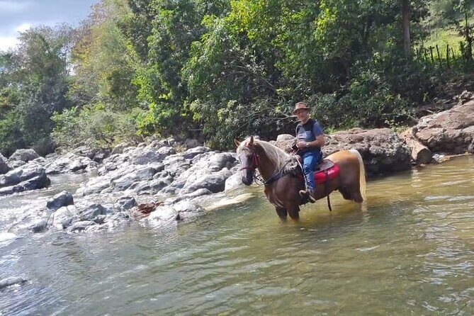 Horseback Riding tour near Santo Domingo with pick up and dropoff - What to Expect from the Tour