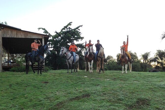 Horseback Riding tour near Santo Domingo with pick up and dropoff - Analyzing Cost and Value