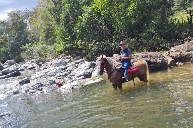 Horseback Riding tour near Santo Domingo with pick up and dropoff - Final Thoughts