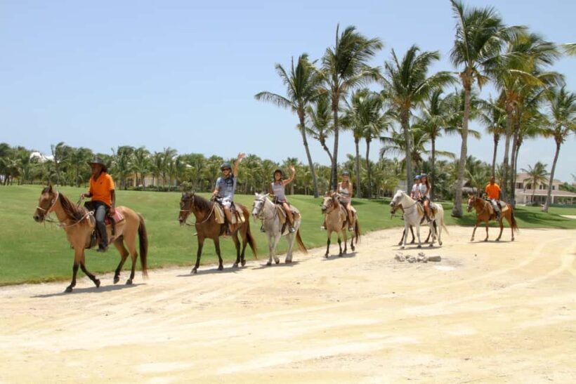 Horseback Riding Tour of Punta Cana - Key Points